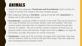 Animals in the environment | PPTX | Birds | Pets