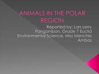 Animals in the polar region | PPTX