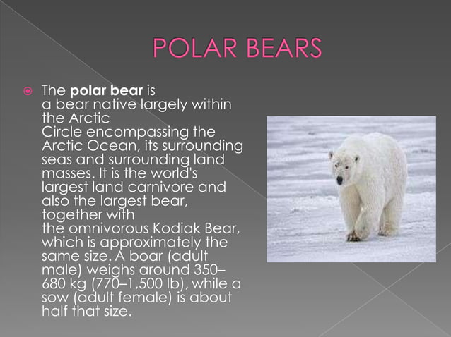 Animals in the polar region | PPTX