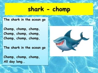 Animals in the sea | PPT
