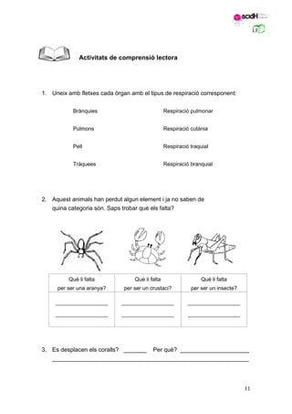 Animals invertebrats pdf | PDF