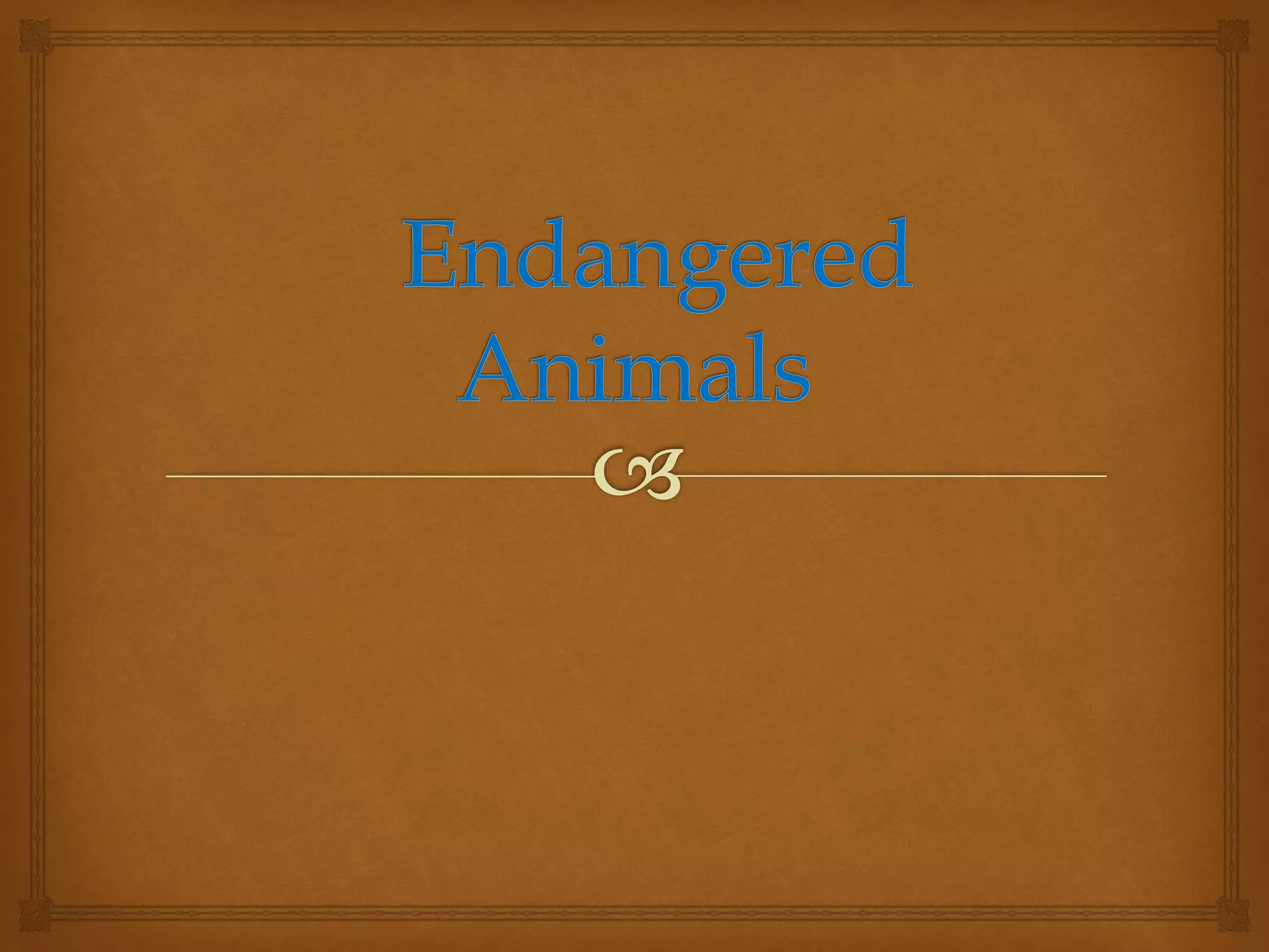endangered animals. | PPTX