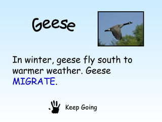 Animals in winter | PPT