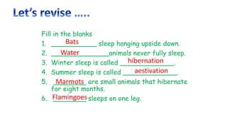 Animal sleep patterns | PPTX