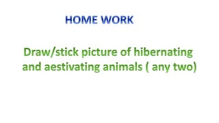 Animal sleep patterns | PPTX