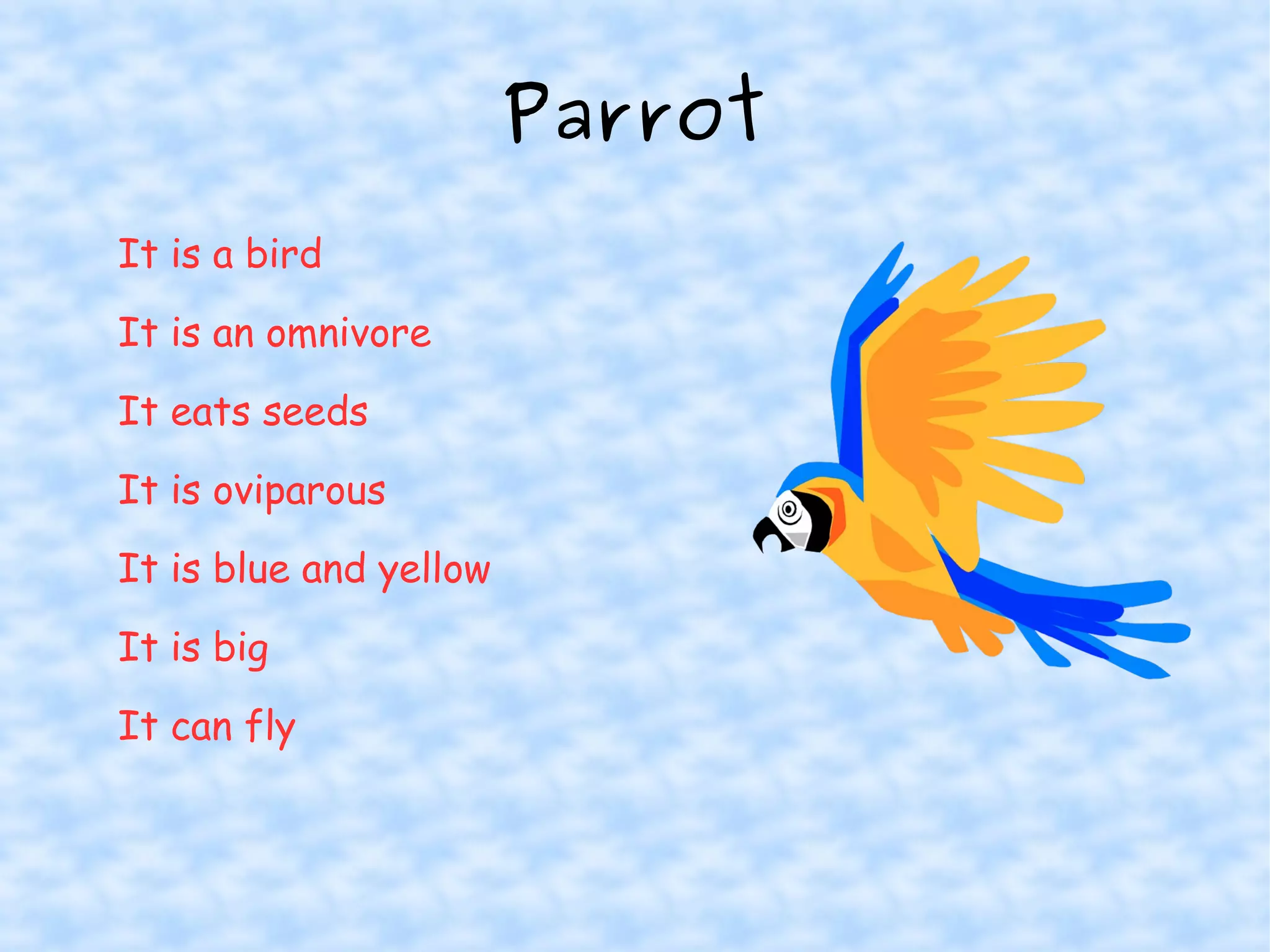 Marc and Miguel | PPT