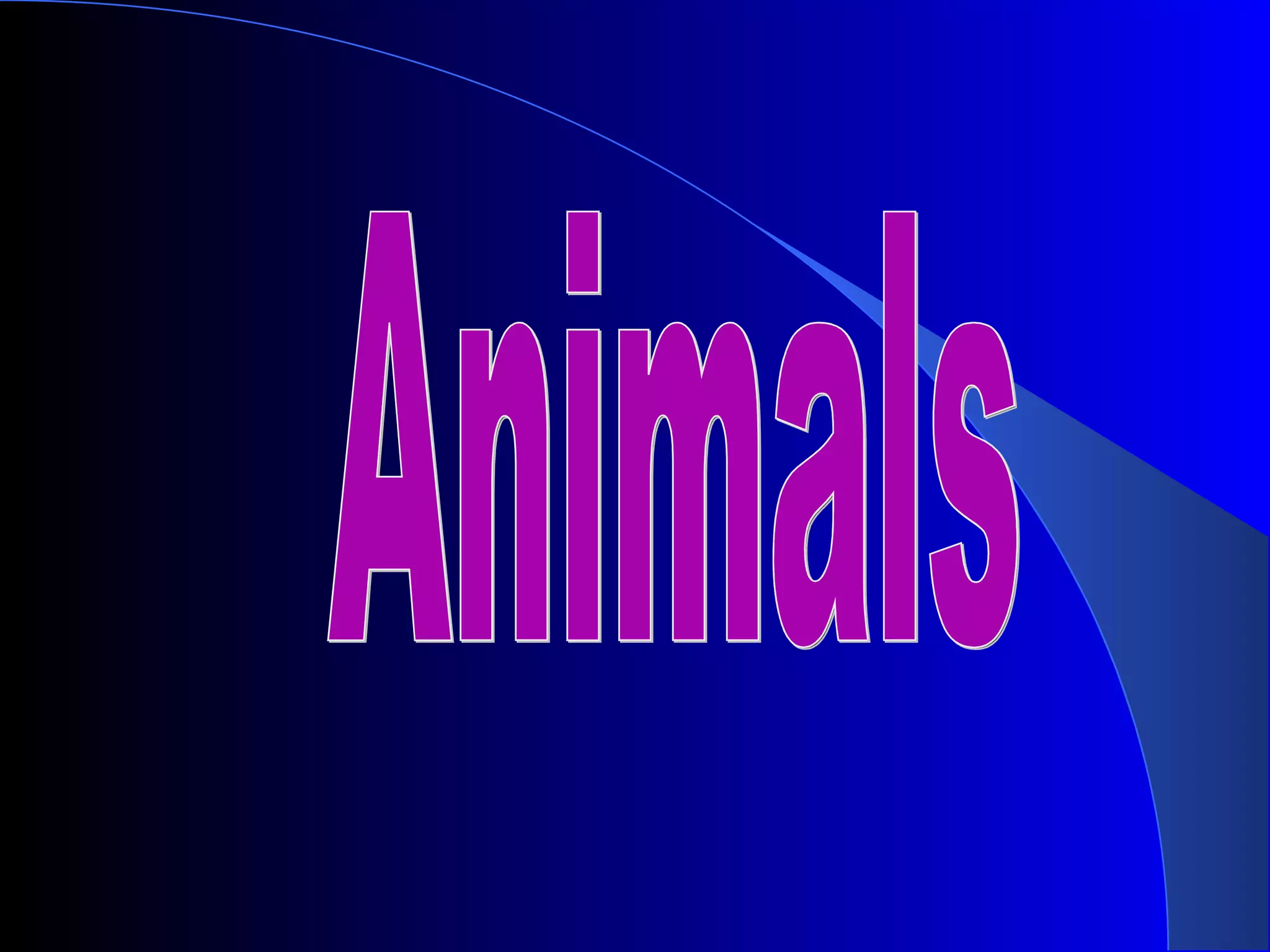 Animals Mateusz Z. Kamil P. | PPT