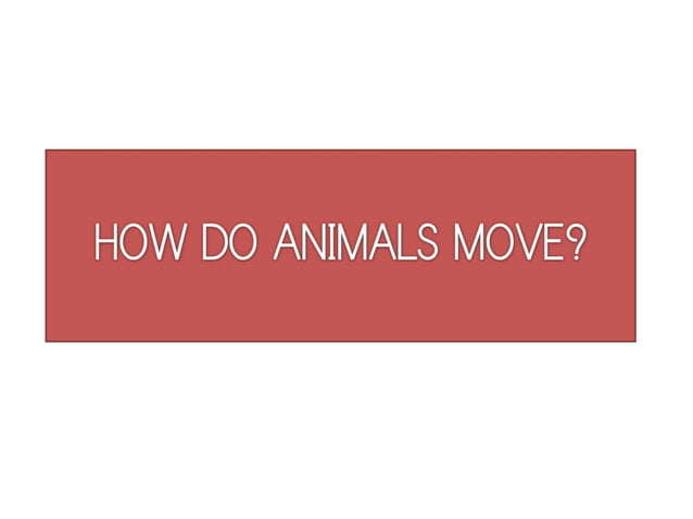Animals move | PPT