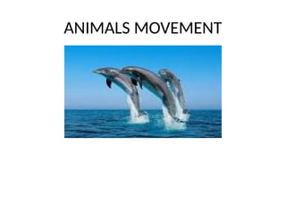 ANIMALS MOVEMENT FOR CHILDREN IN LOWER PRIMARY | PPTX