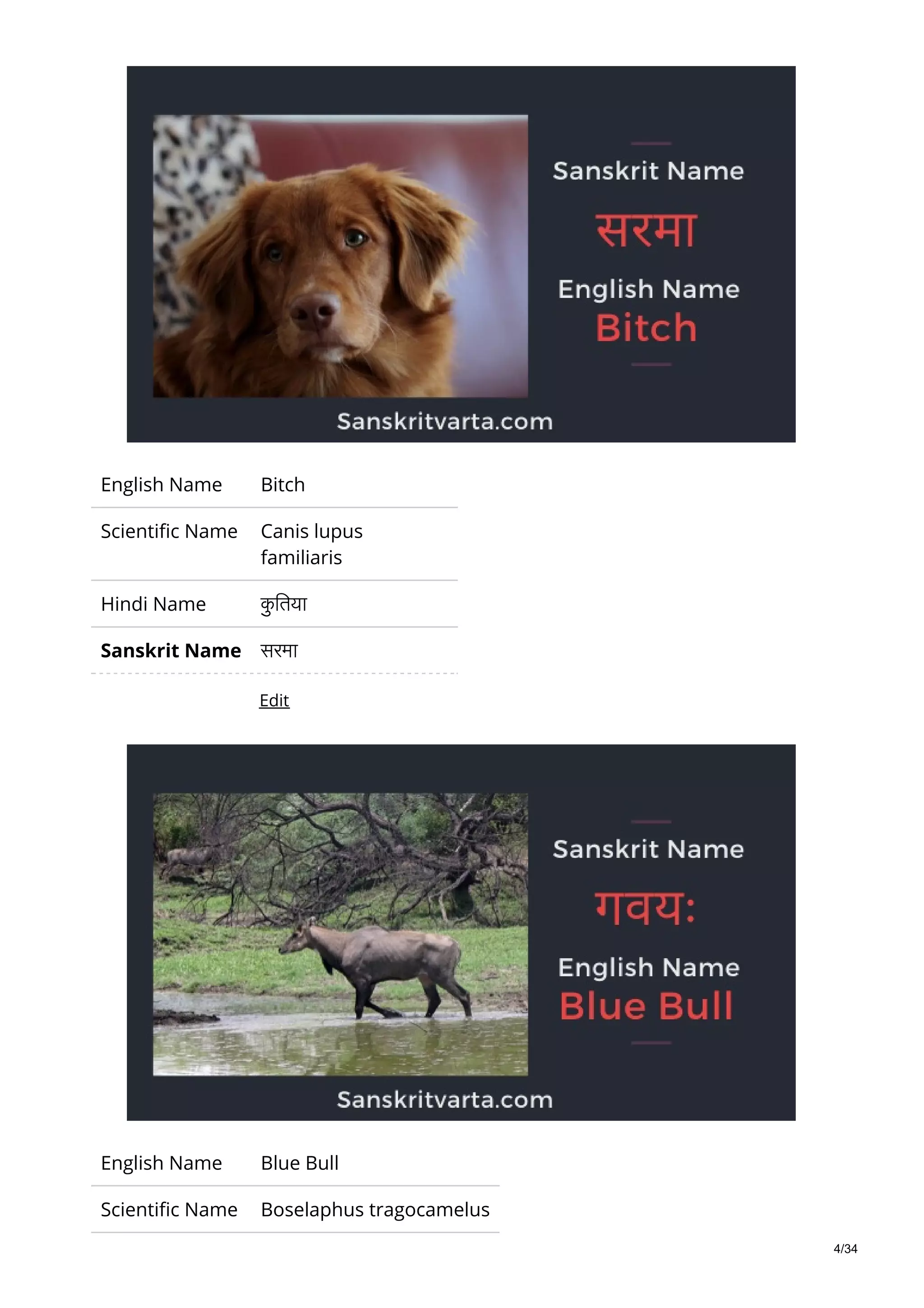 Animals name in sanskrit | PDF