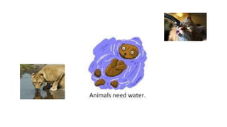 Animals needs | PPTX