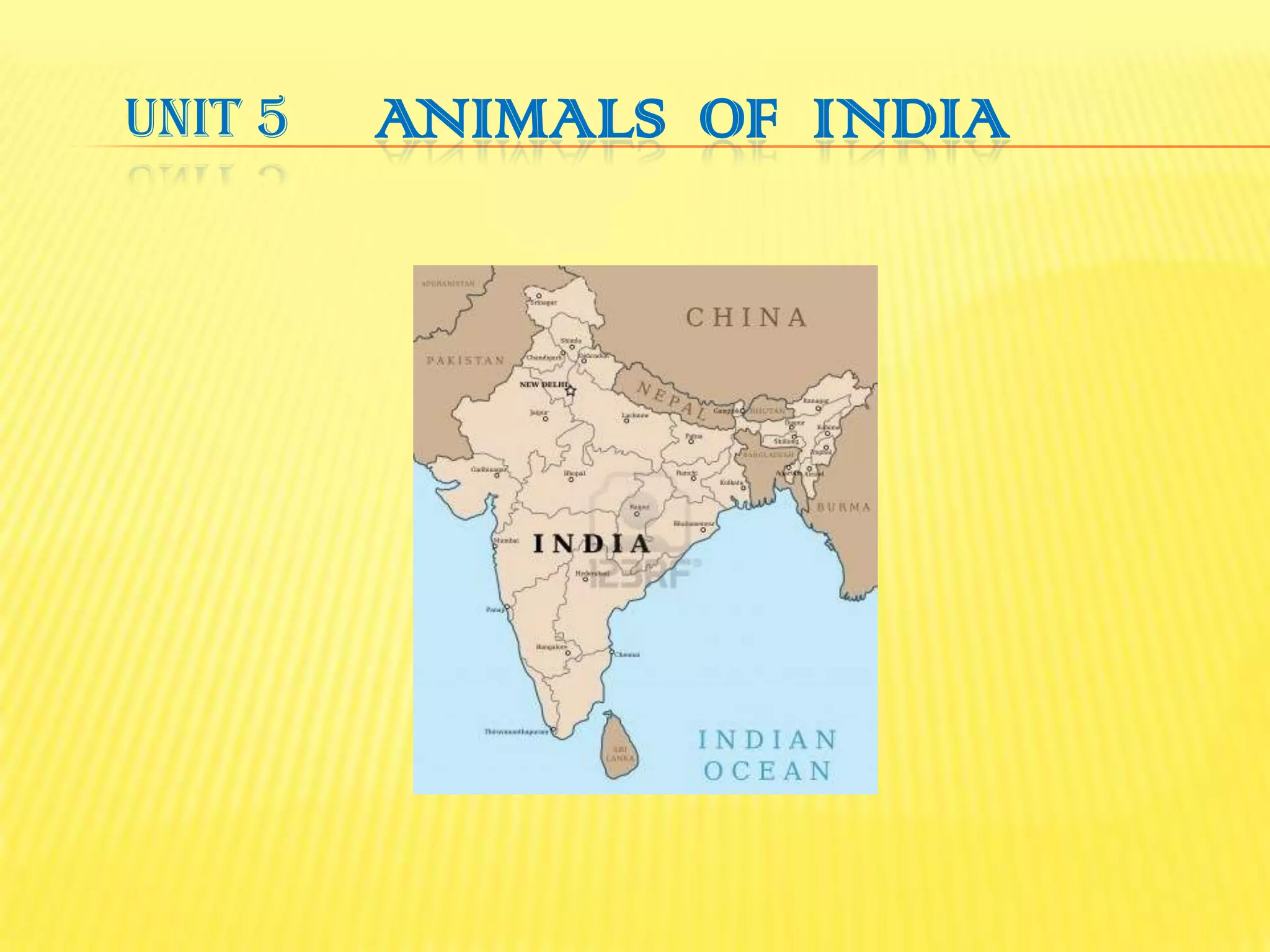 Animals of india | PPTX