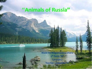 Animals of Russia | PPTX