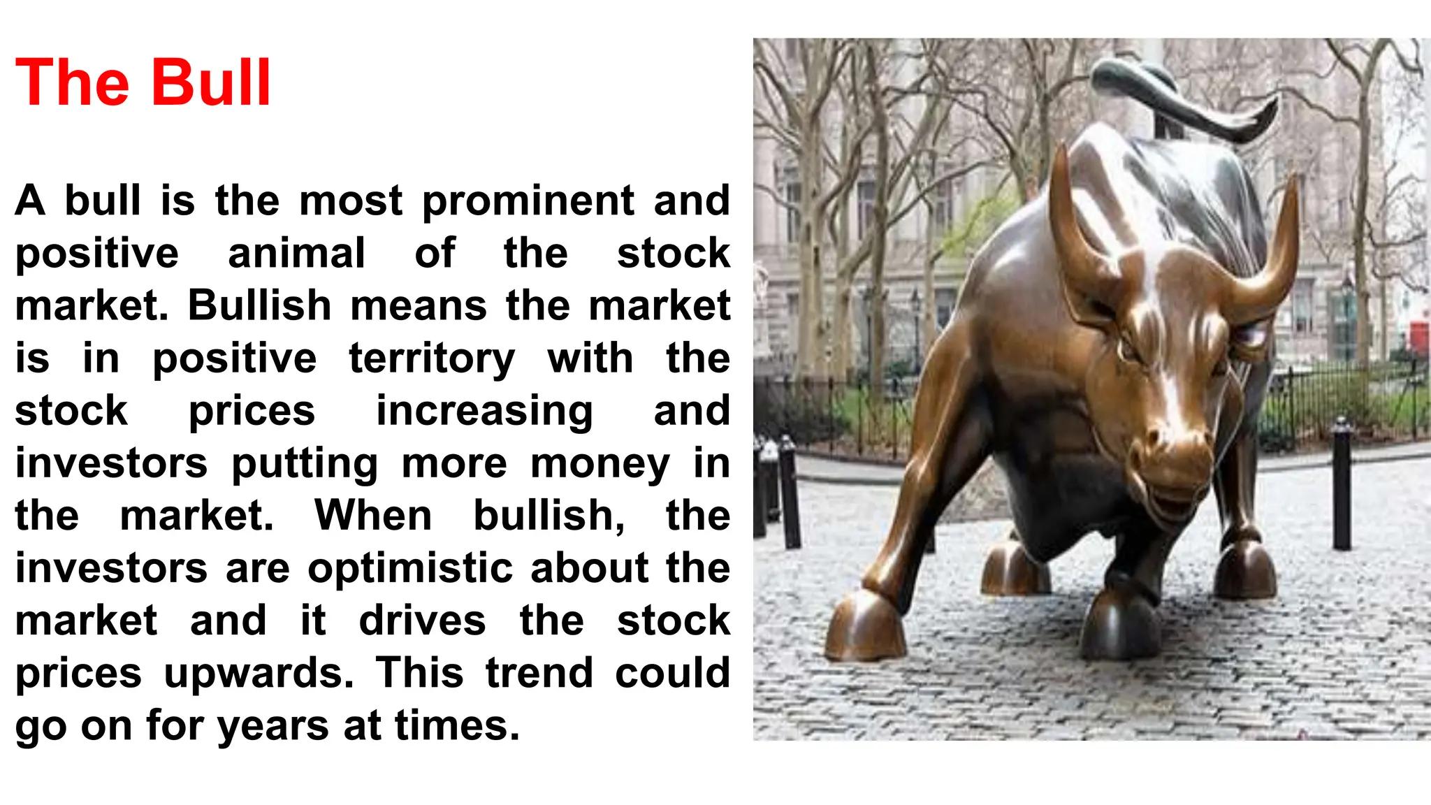 Animals of stock market (1).pptx