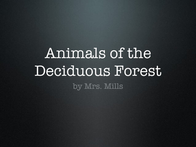 Animals Of The Deciduous Forest2 | PPT