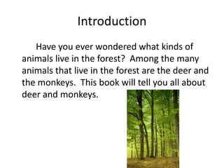 Animals of the forest, piper | PPT