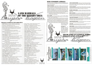 Animals of the Knysna area | PPT