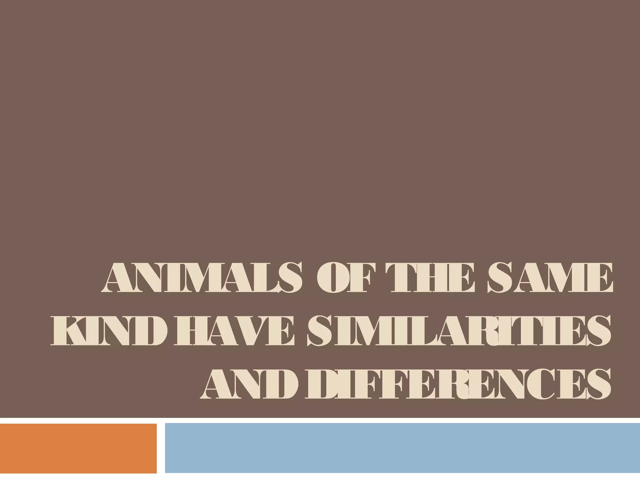 Animals of the same kind have similarities and differences | PPT