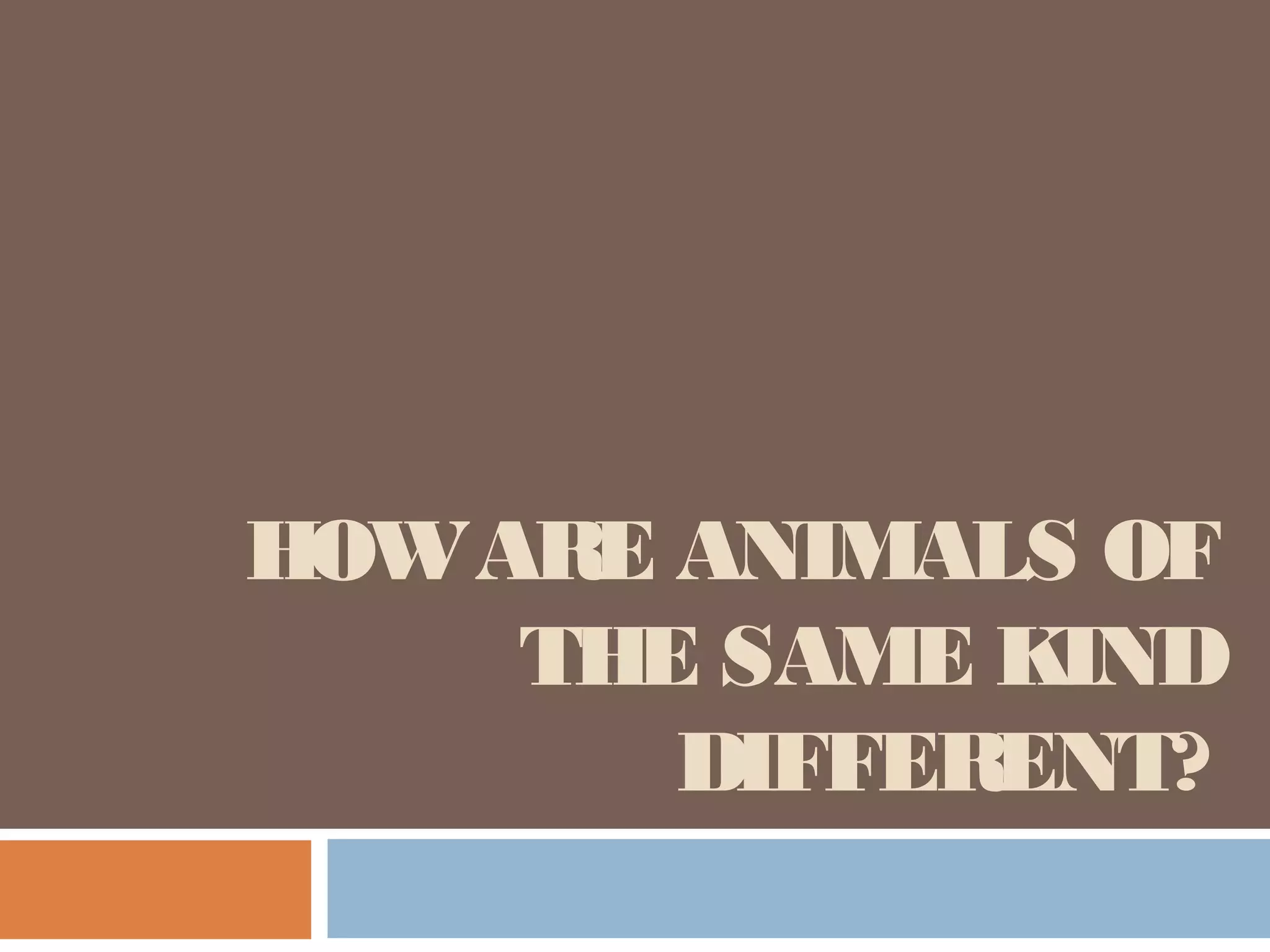 Animals of the same kind have similarities and differences | PPT