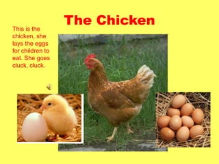Animals on the farm | PPTX