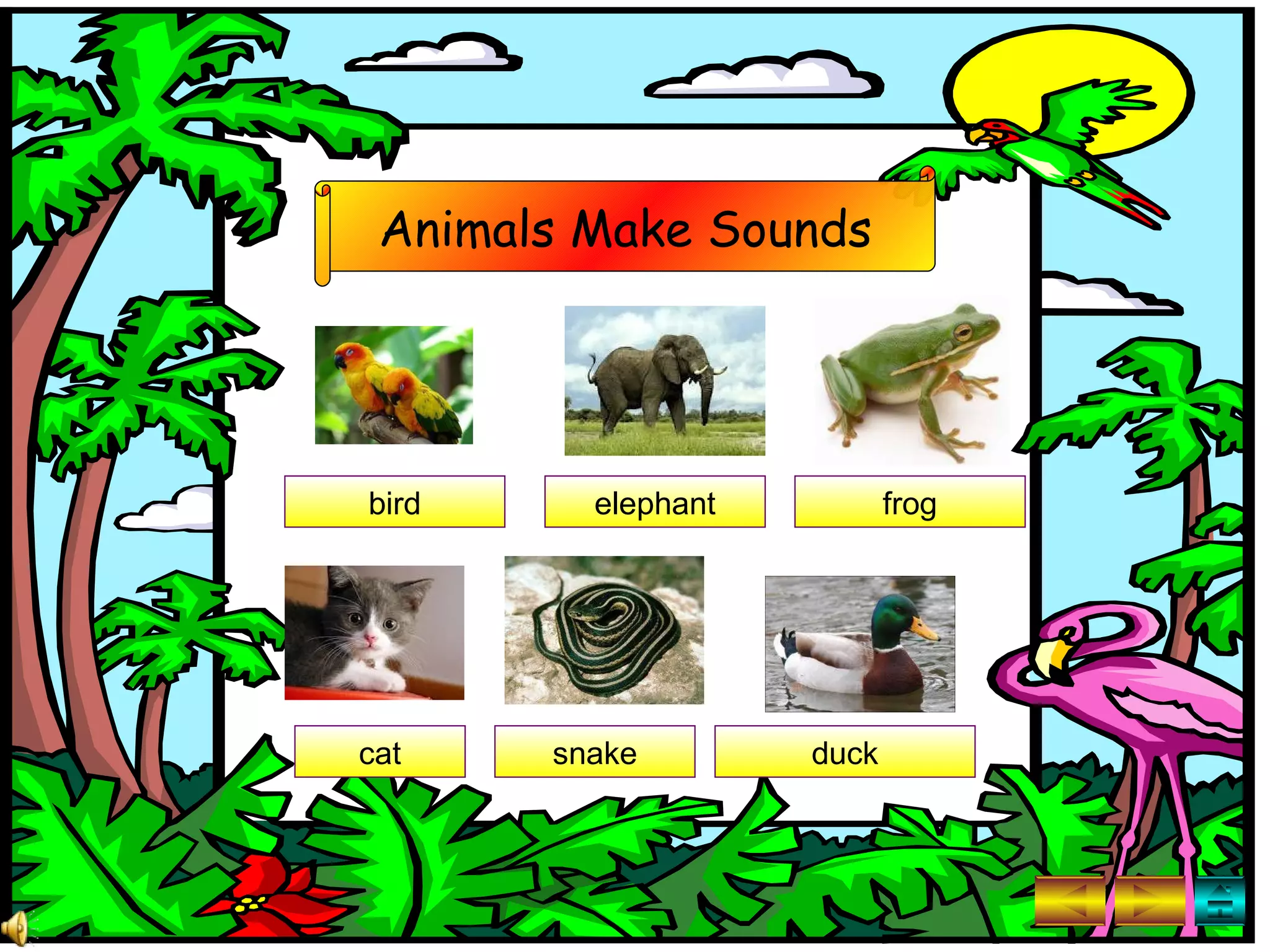 Animal sounds | PPT
