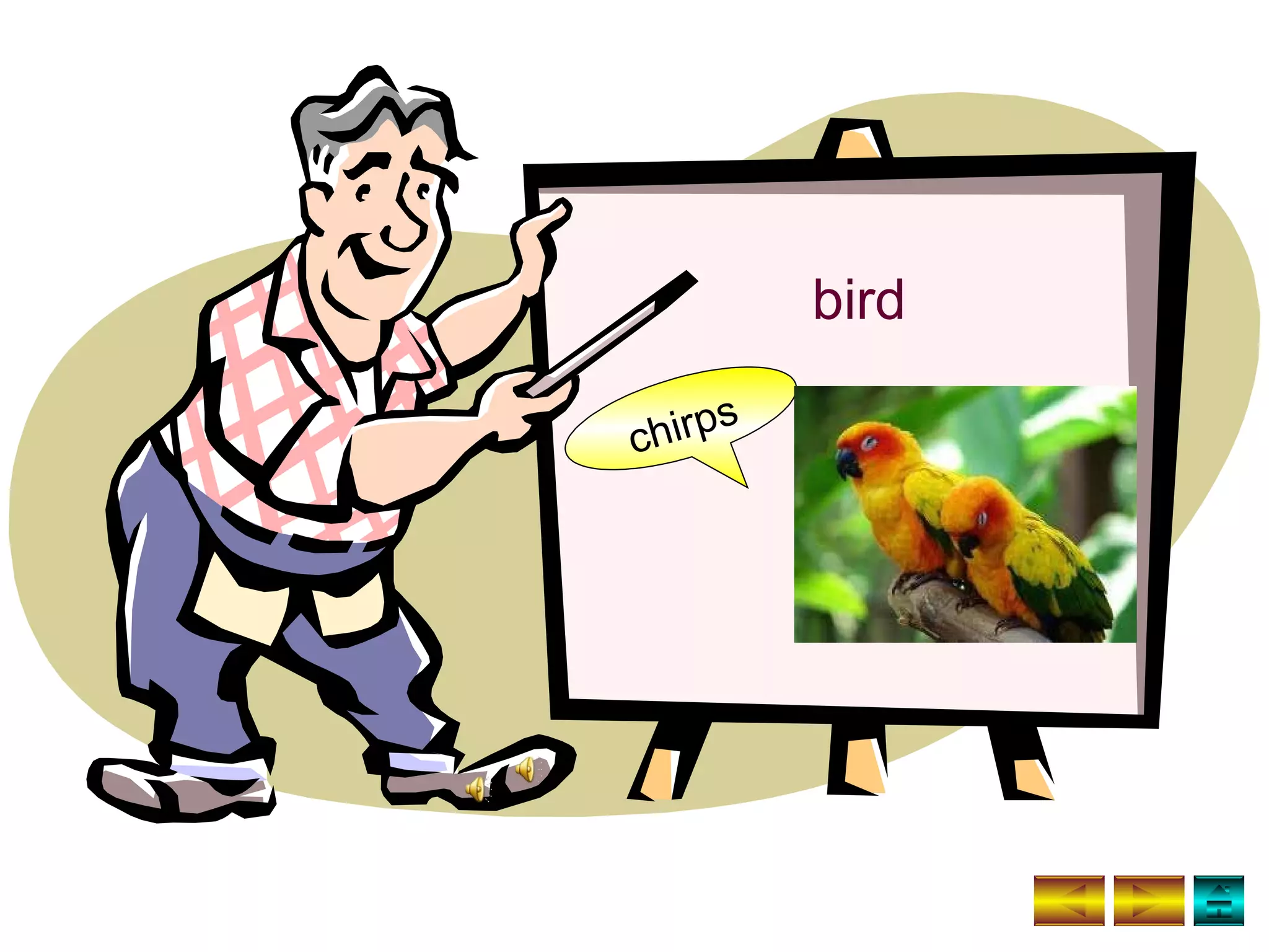 Animal sounds | PPT