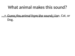 Animal_Sounds_Adventures for Kindergarten and Kids.pptx