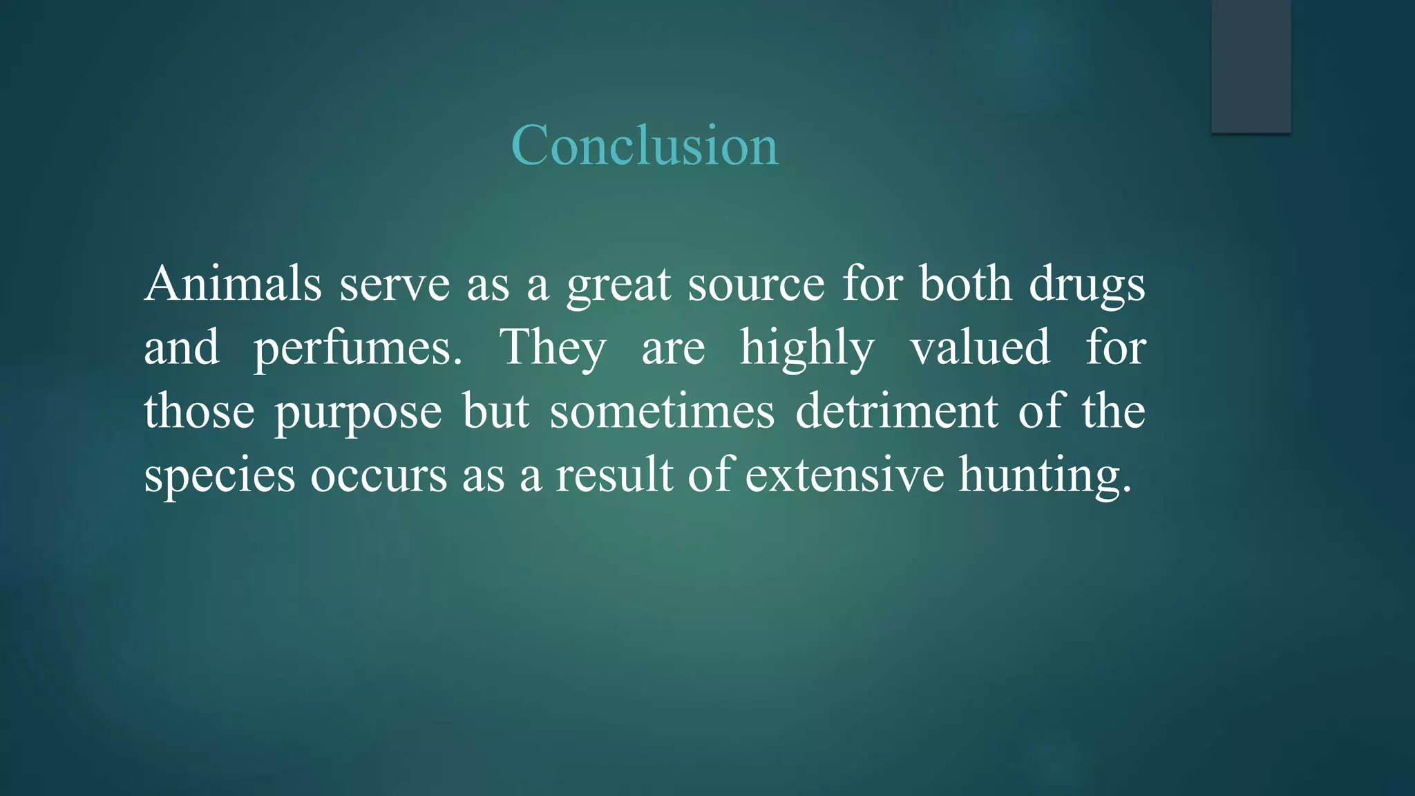 Animal sources of drugs, medicines and perfumes | PPTX