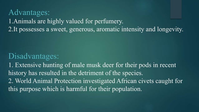 Animal sources of drugs, medicines and perfumes | PPTX | Perfume and ...