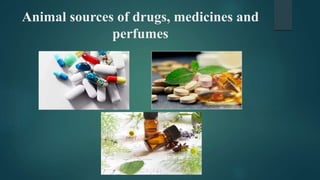 Animal sources of drugs, medicines and perfumes | PPTX