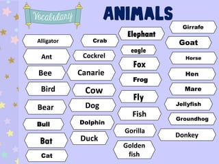 Animals Part 1 | PPT
