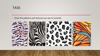 Animals patterns and textures | PPTX
