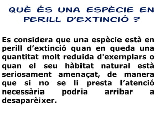 Animals perill extinció. | PPT
