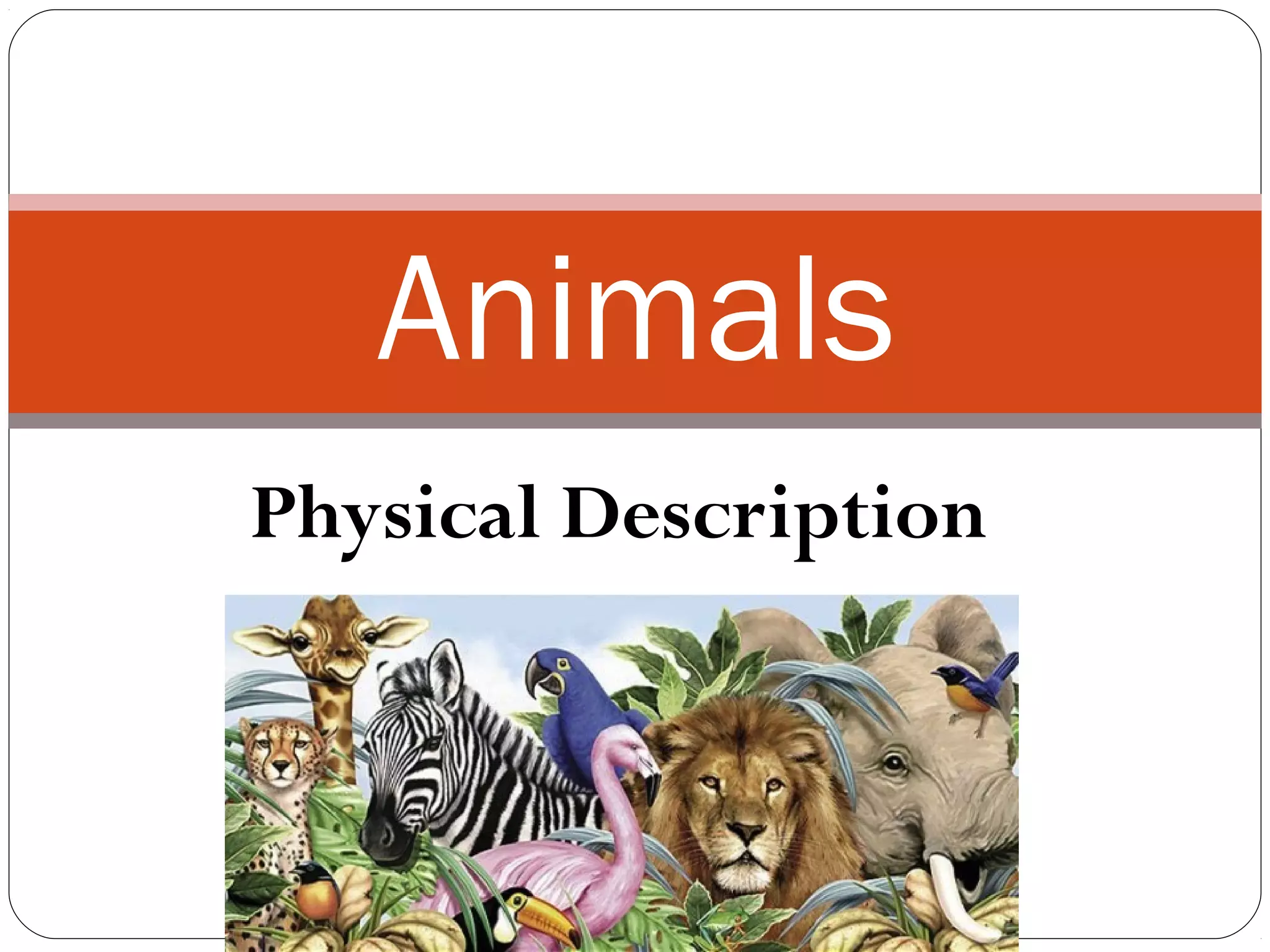 Animals Physical Description | PPT