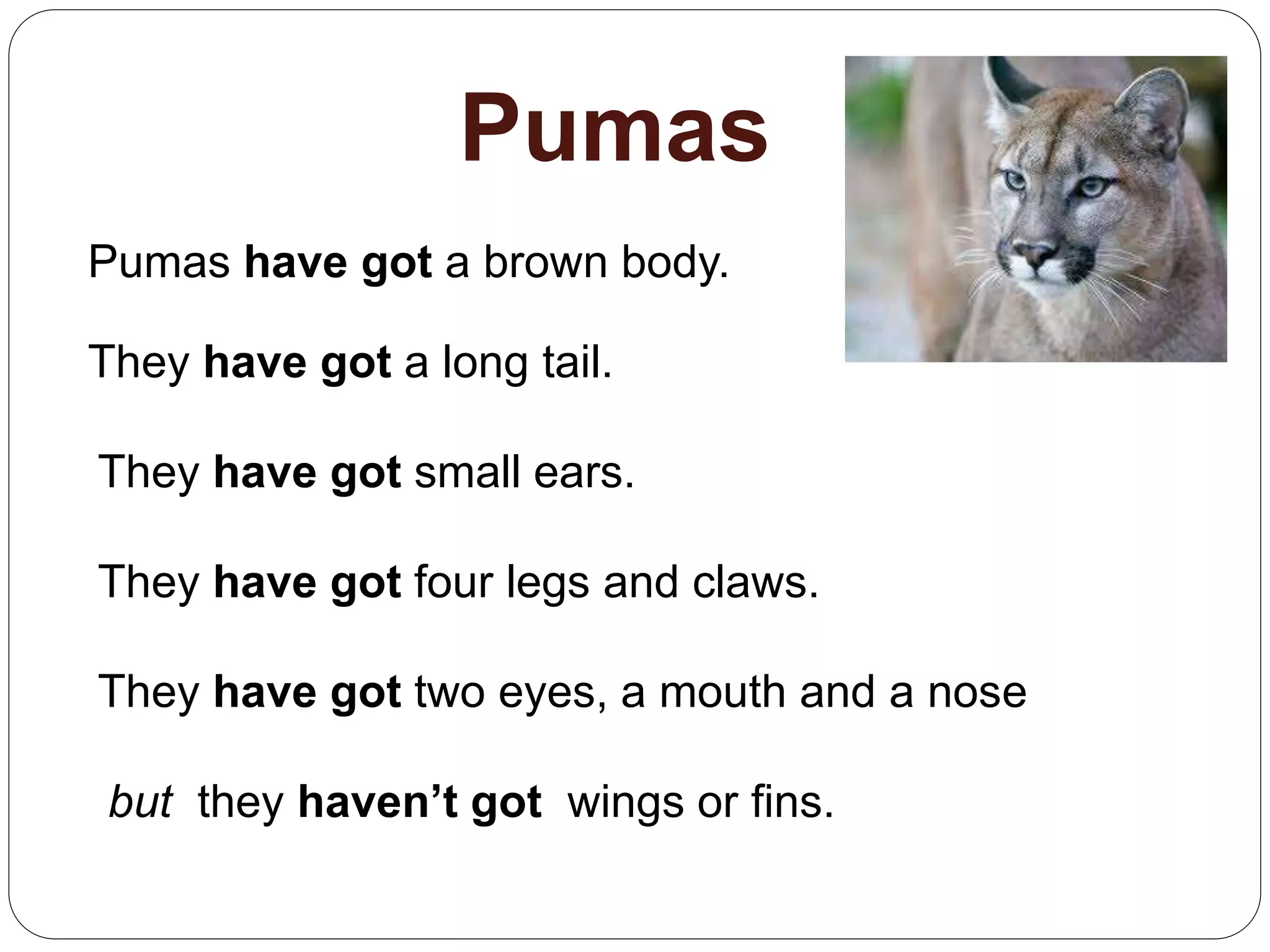 Animals physical description | PPT