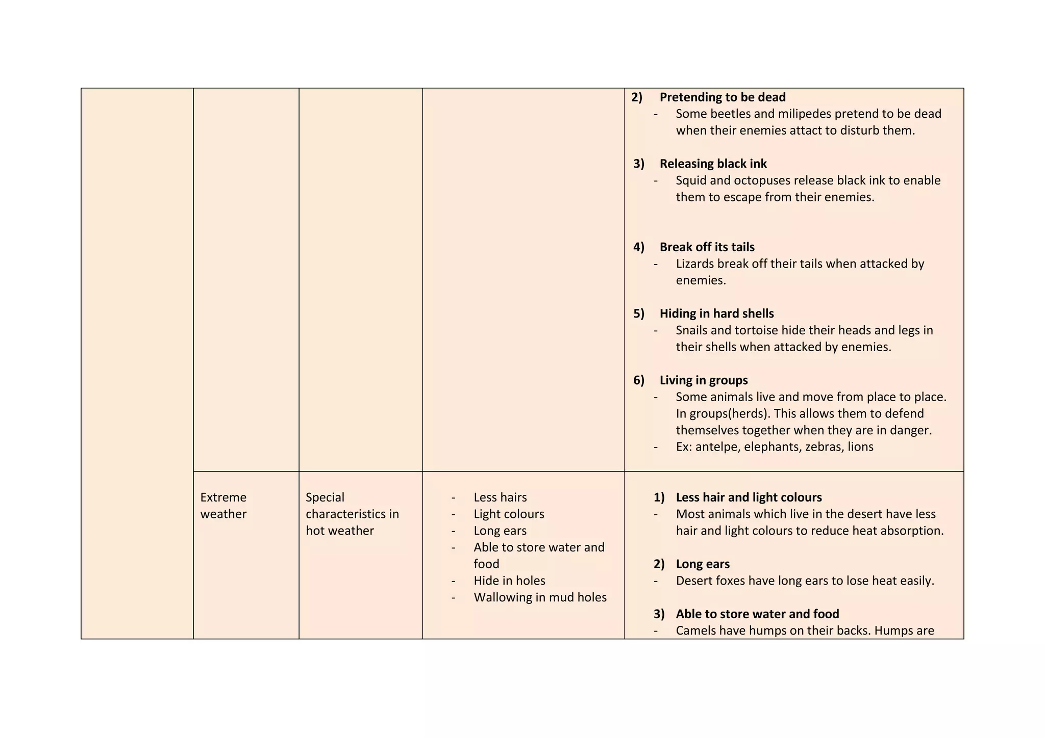 Animals & plants | PPT