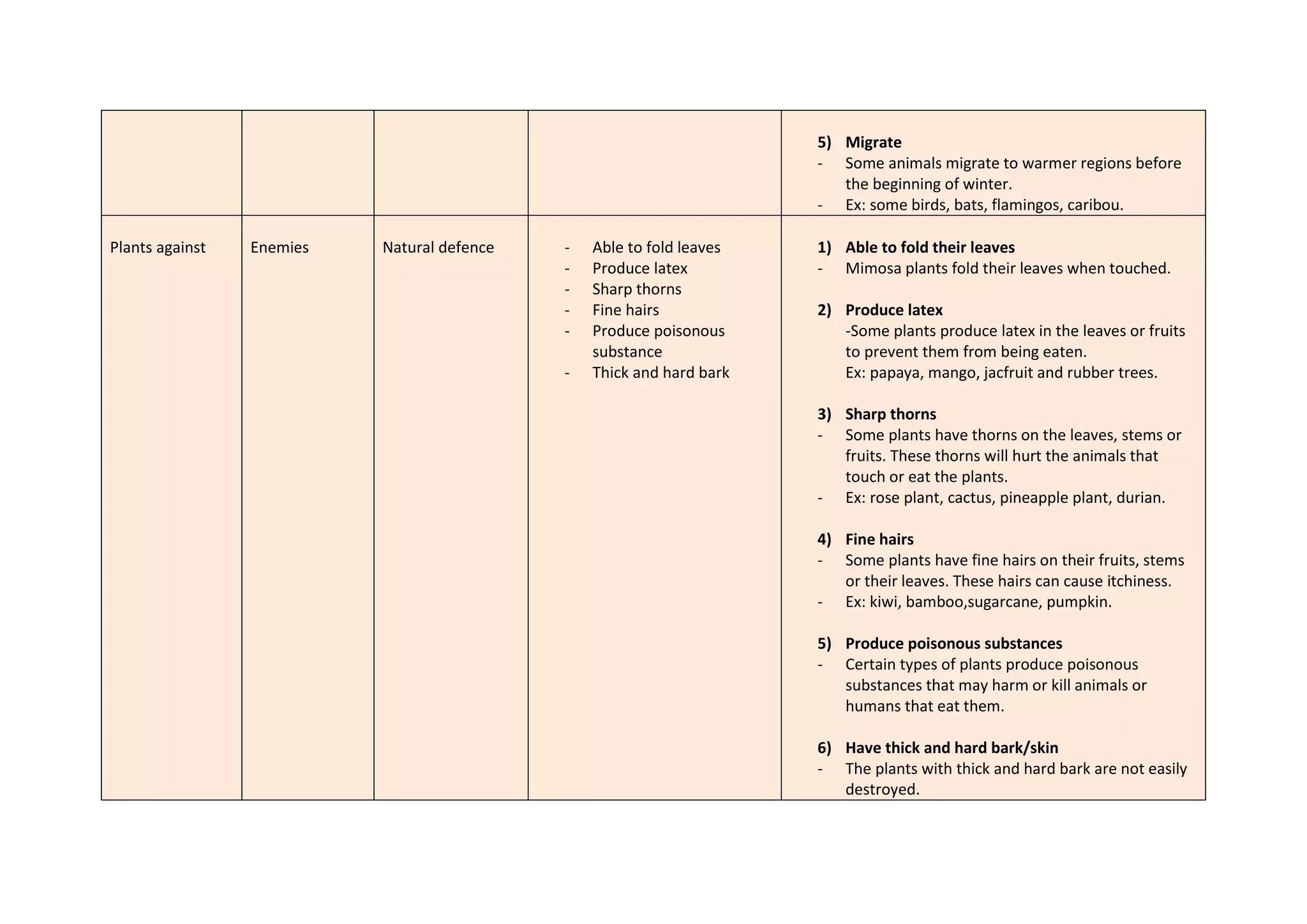 Animals & plants | PPT