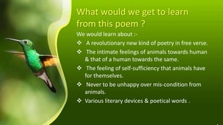 'Animals' poem of 'first flight' | PPTX