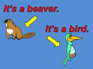 Animals powerpoint | PPT