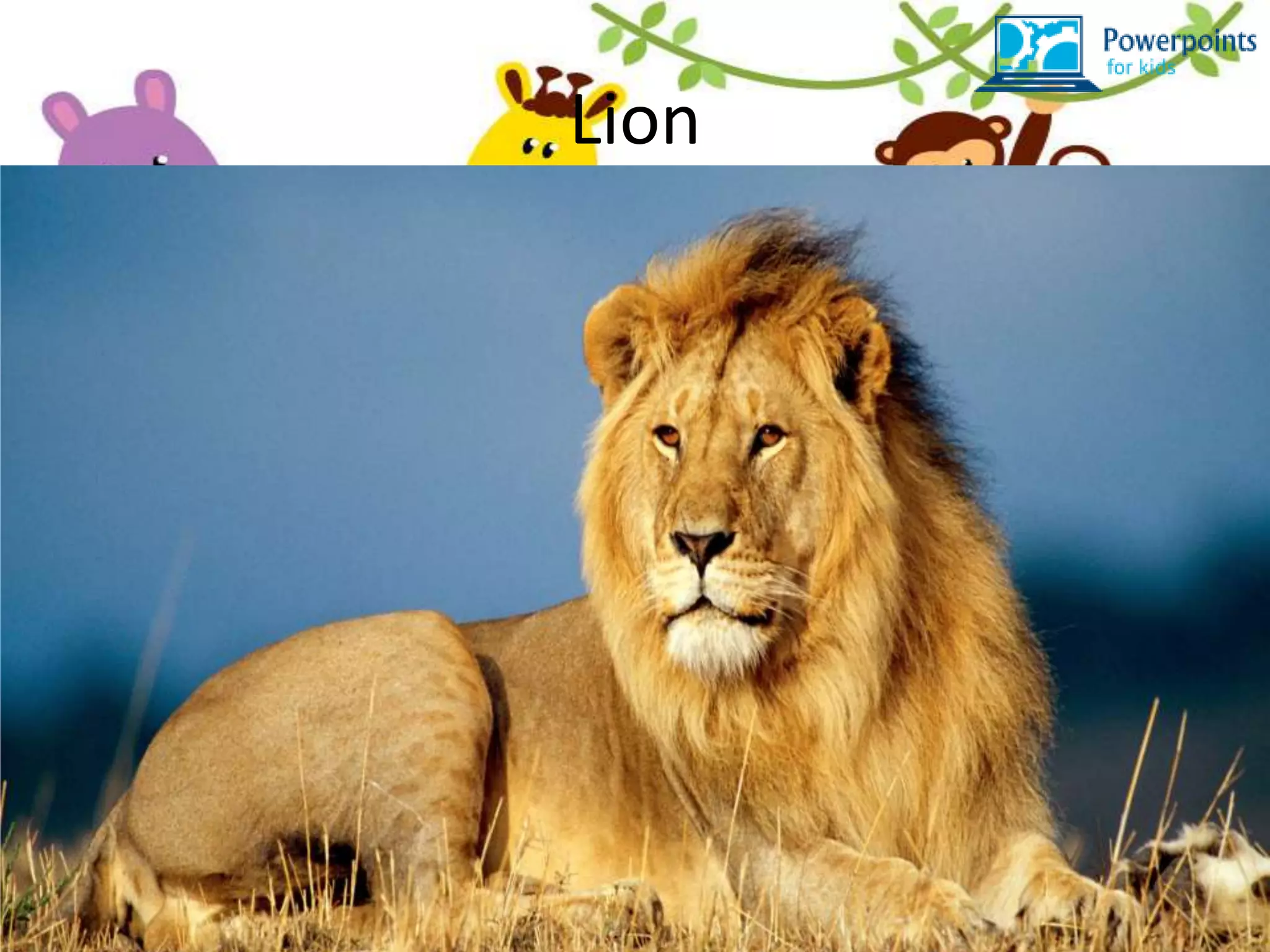Animals powerpoints for kids | PPTX