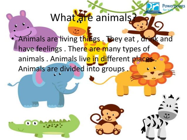 Animals powerpoints for kids | PPTX