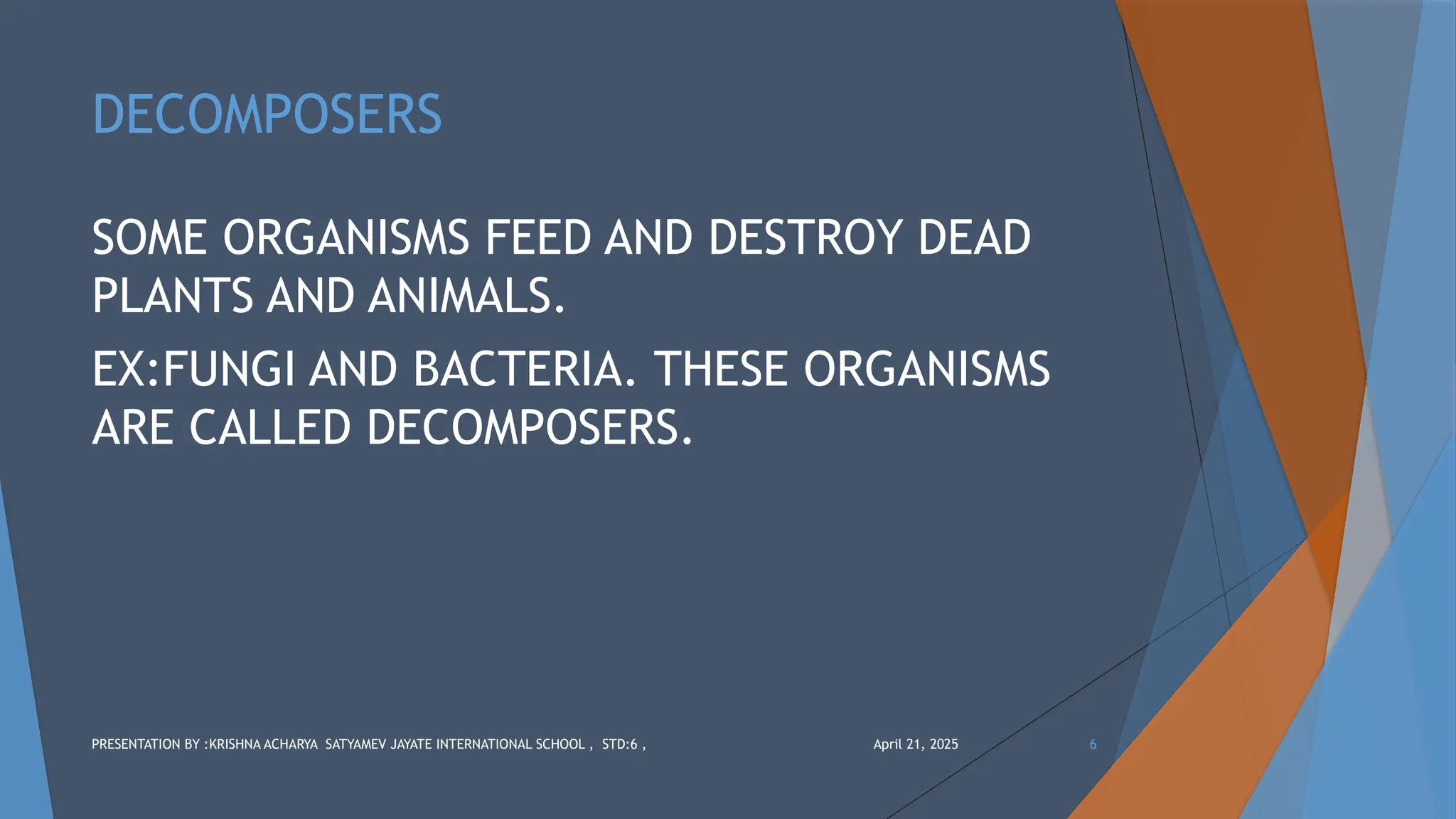 ANIMALS PRESENTATION and the presentation about animals | PPTX