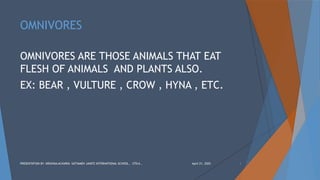 ANIMALS PRESENTATION and the presentation about animals | PPTX