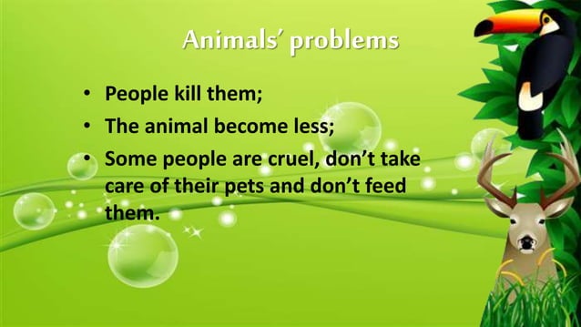 Animals' problems | PPT