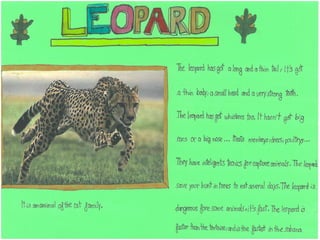 Animals’ project | PPT