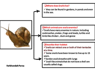 Animals –project snail | PPTX