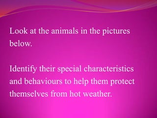 Animals protect from danger | PPTX