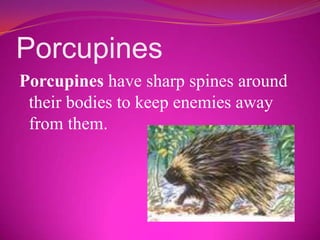 Animals protect from danger | PPTX