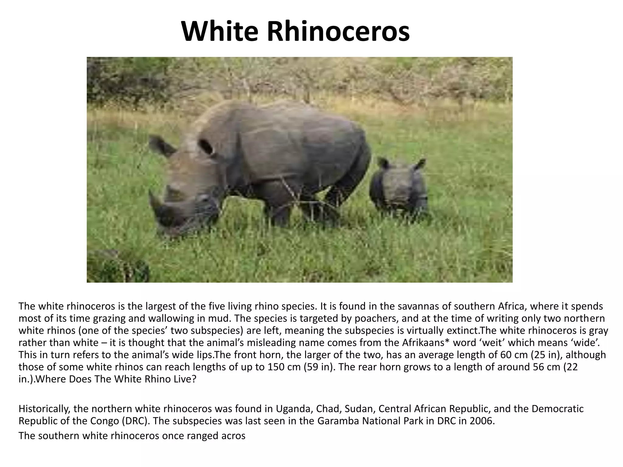 Animals registered in red book | PPTX