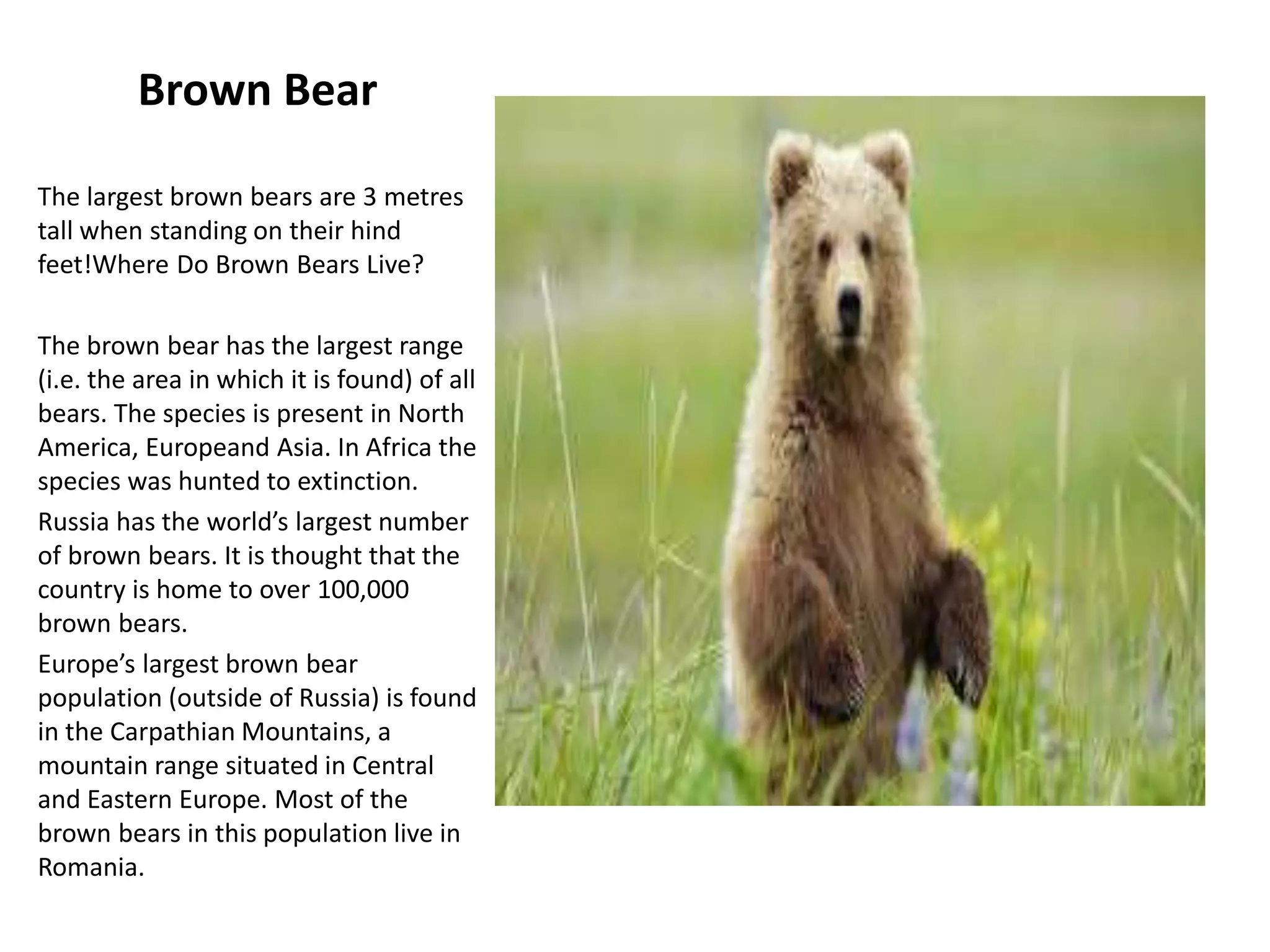 Animals registered in red book | PPTX